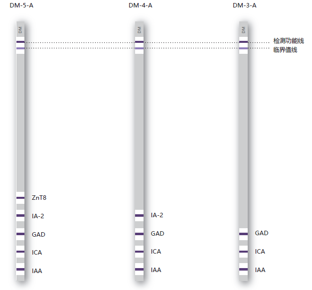 Line Immuno Assay (LIA) for the Detection of Antibodies in Type 1 ...